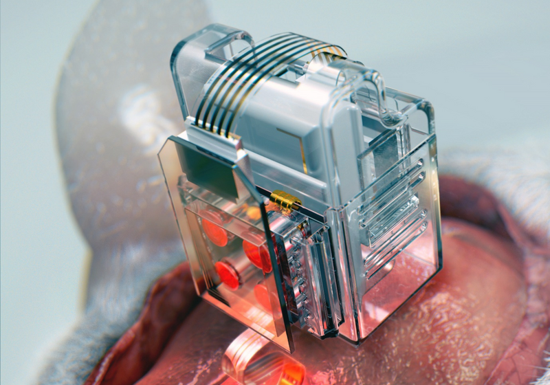 Image of the Day: Smartphone-Controlled Brains | The Scientist Magazine®