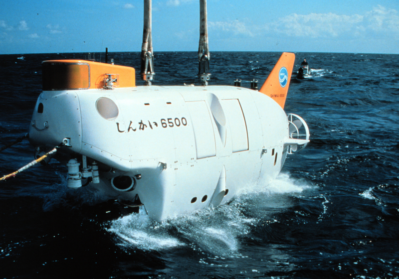 Elusive Asgard Archaea Finally Cultured in Lab | The Scientist