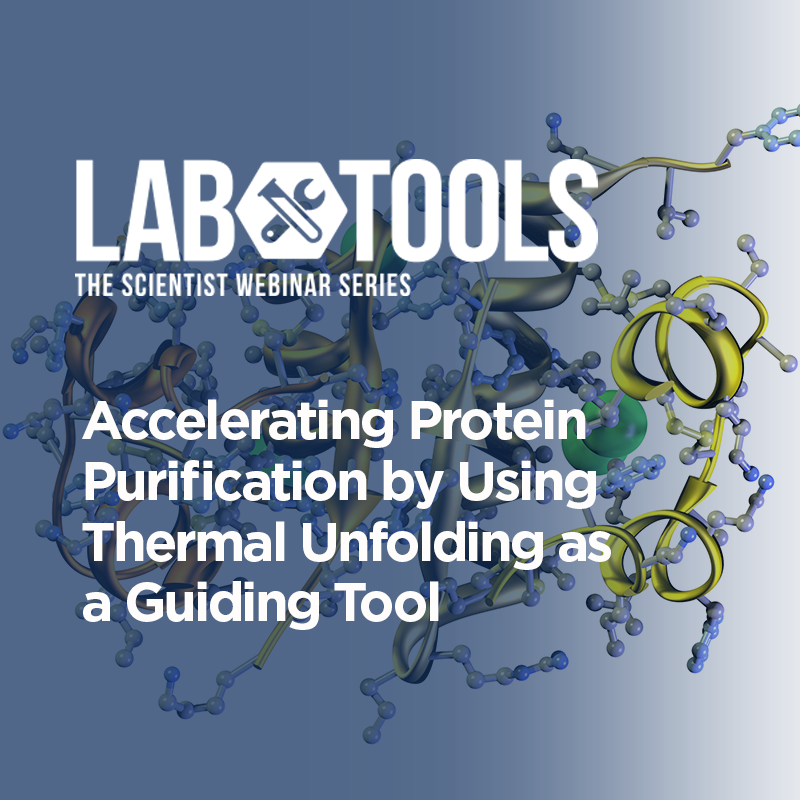 Accelerating Protein Purification by Using Thermal Unfolding as a ...