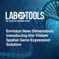 Envision New Dimensions: Introducing the Visium Spatial Gene Expression ...
