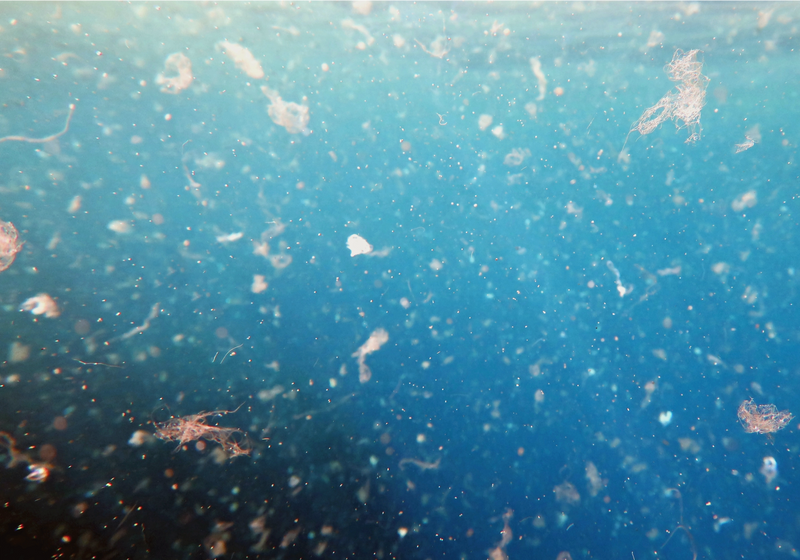 Microplastics in Drinking Water Don’t Threaten Human Health: WHO | The ...