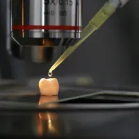 Experiments | The Scientist