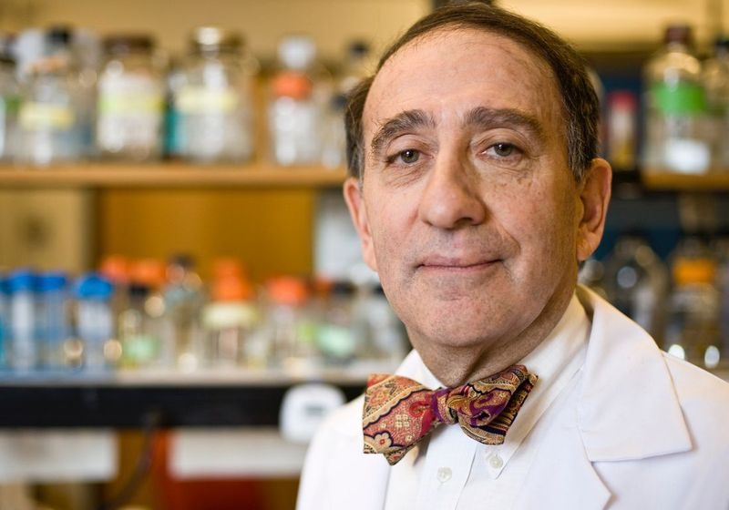 Stuart Levy, Antibiotic Resistance Researcher, Dies | The Scientist