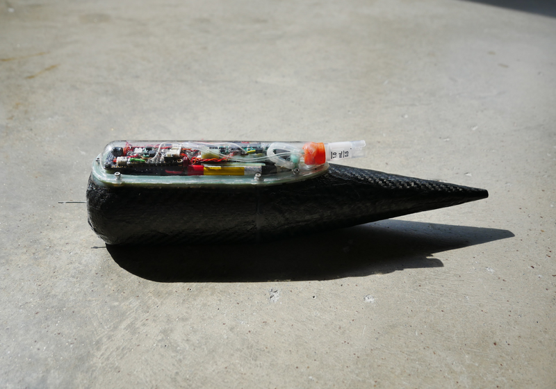 Image of the Day: Flying Fish Robot | The Scientist Magazine®