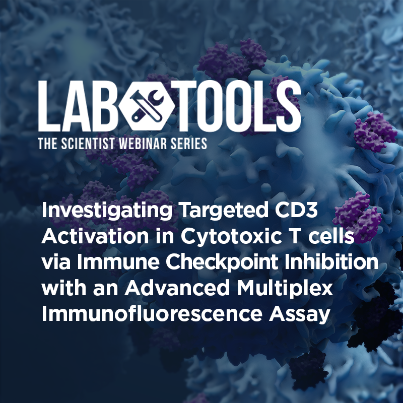 Investigating Targeted CD3 Activation in Cytotoxic T cells via Immune ...