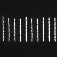 Image of the Day: Mother Machine | The Scientist