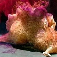 RNA Moves a Memory From One Snail to Another | The Scientist