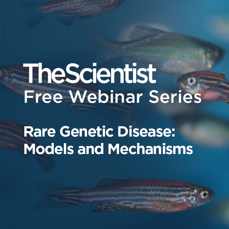 Rare Genetic Disease: Models and Mechanisms | The Scientist