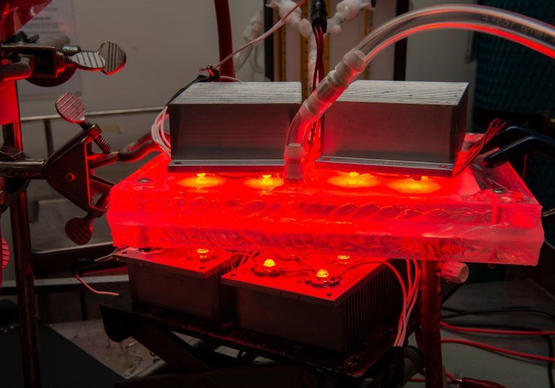 Blood-Cleaning Machine Quickly Eliminates Carbon Monoxide in Rats | The ...