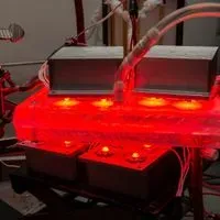 Blood | The Scientist