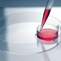 BRANDTECH Scientific Profile | The Scientist