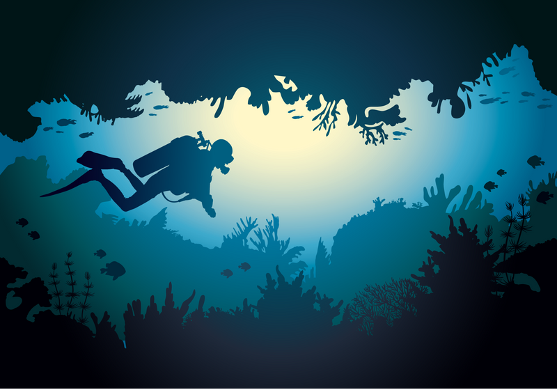 The Sea and the Science She Inspires | The Scientist