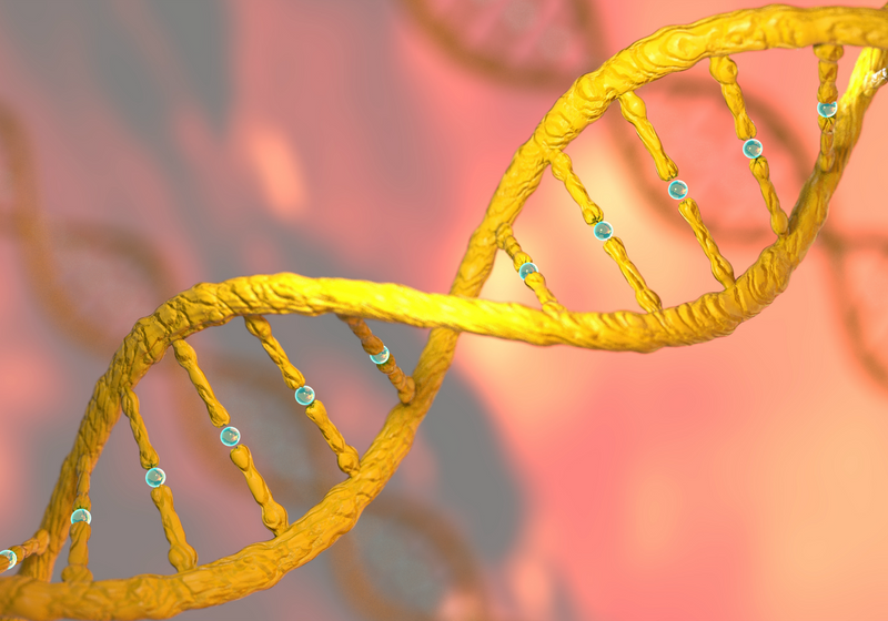 New CRISPR-Based Prime Editing Method Improves Off-Target Effects | The ...