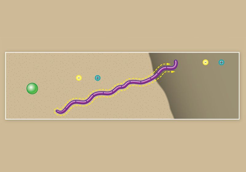 Infographic: Plugged In | The Scientist