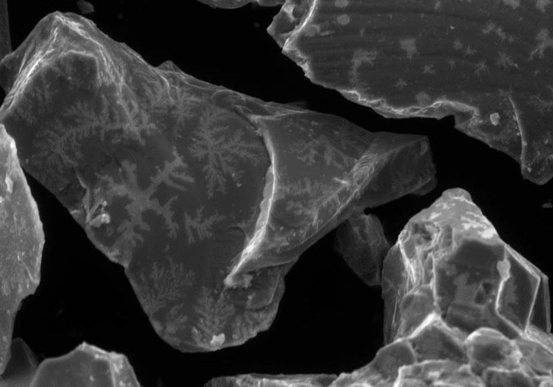 Image of the Day: Fractal Formation | The Scientist