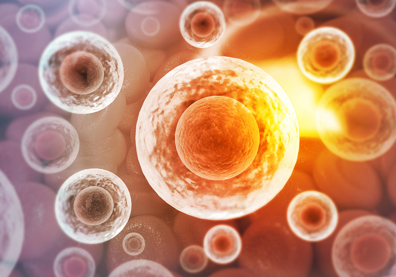 Dramatic Temperature Spikes Inside Cells Draw Interest, Skepticism ...