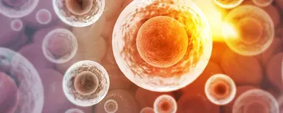 Dramatic Temperature Spikes Inside Cells Draw Interest, Skepticism ...