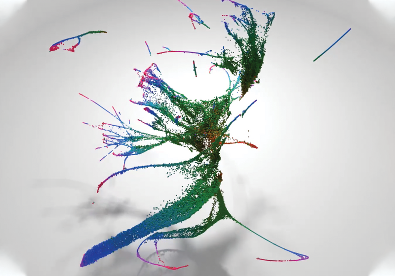 Worm Embryogenesis: Cell by Cell and Gene by Gene | The Scientist