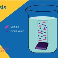 MilliporeSigma: Dialfiltration vs. Dialysis | The Scientist