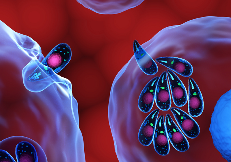 Top Technical Advances of 2019 | The Scientist