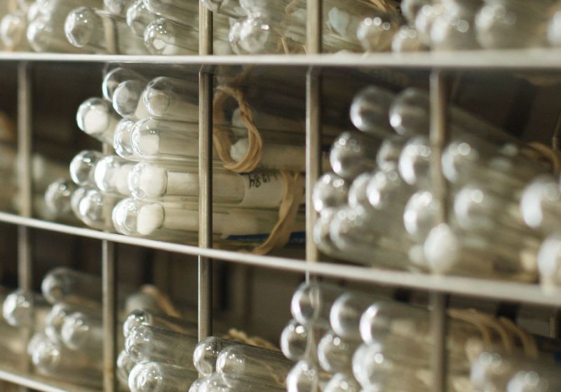 Scripps Acquires Pfizer’s Massive Microbial Library | The Scientist