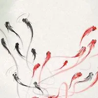 Scientists Predict Fish Behavior from Real-Time Brain Monitoring | The ...