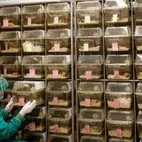 Animal Welfare Records Return to USDA Website | The Scientist