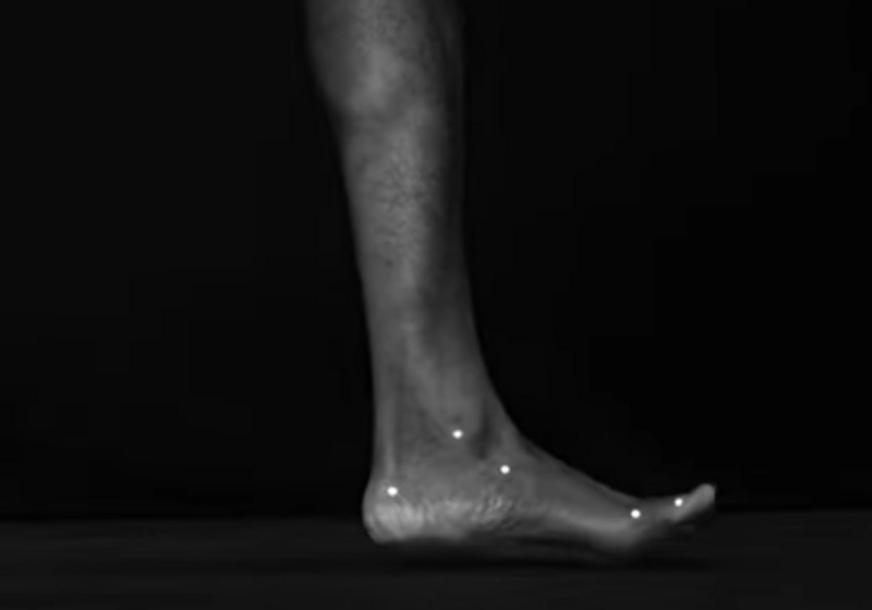 Image of the Day: Foot Biomechanics | The Scientist