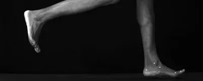 Image of the Day: Foot Biomechanics | The Scientist