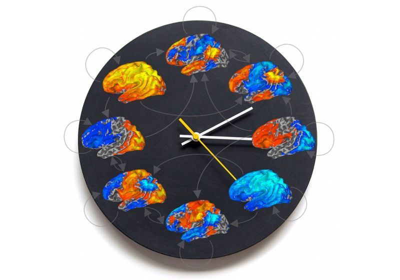 Alternate Activation of Two Brain Systems Tied to Consciousness | The ...