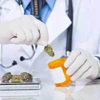 Jason Boland Author Profile | The Scientist