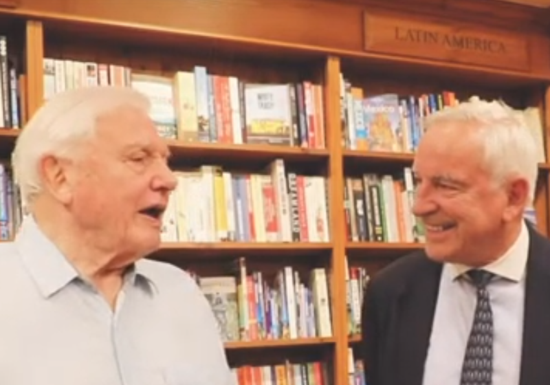 Aquatic Apes? | The Scientist