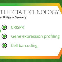 Cellecta: Simplified Gene Functional Analysis | The Scientist Magazine®