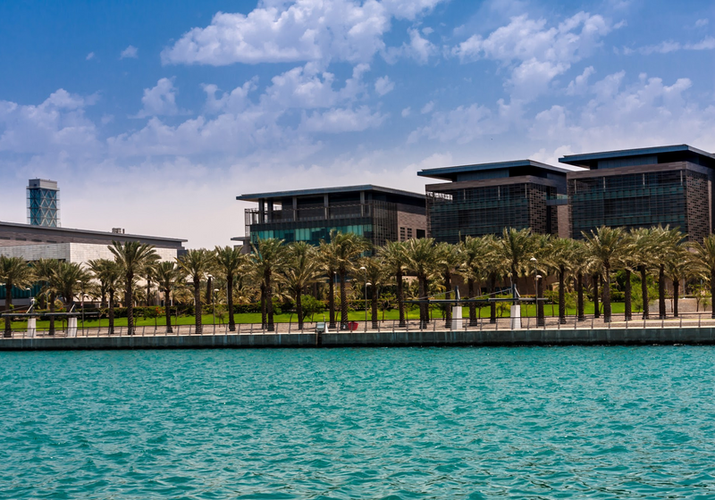 Saudi Arabian Universities Push to Recruit Women Faculty | The Scientist