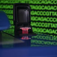 DeNovix Launches New RNA Quantification Assay | The Scientist Magazine®