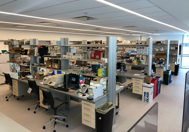 Opinion: Redefining Productivity in the Age of COVID-19 | The Scientist