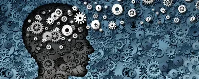Where Do Our Memories Live? | The Scientist