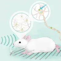 Fear Conditioning | The Scientist