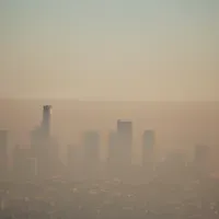 Pollution | The Scientist