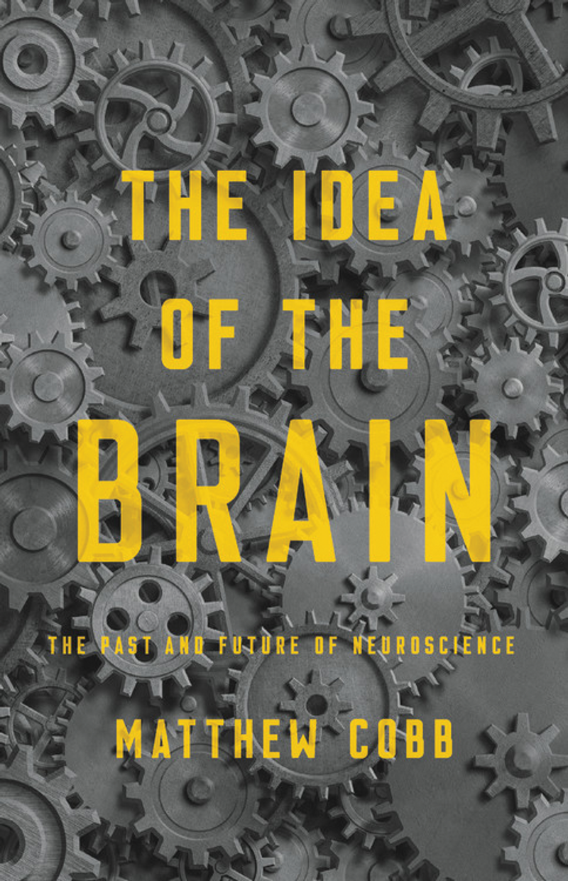 Book Excerpt from The Idea of the Brain | The Scientist