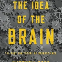 Book Excerpt from The Idea of the Brain | The Scientist