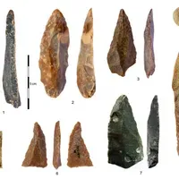 Neanderthal | The Scientist