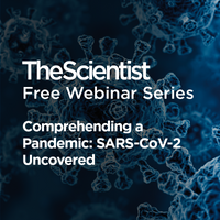 Comprehending a Pandemic: SARS-CoV-2 Uncovered | The Scientist Magazine®