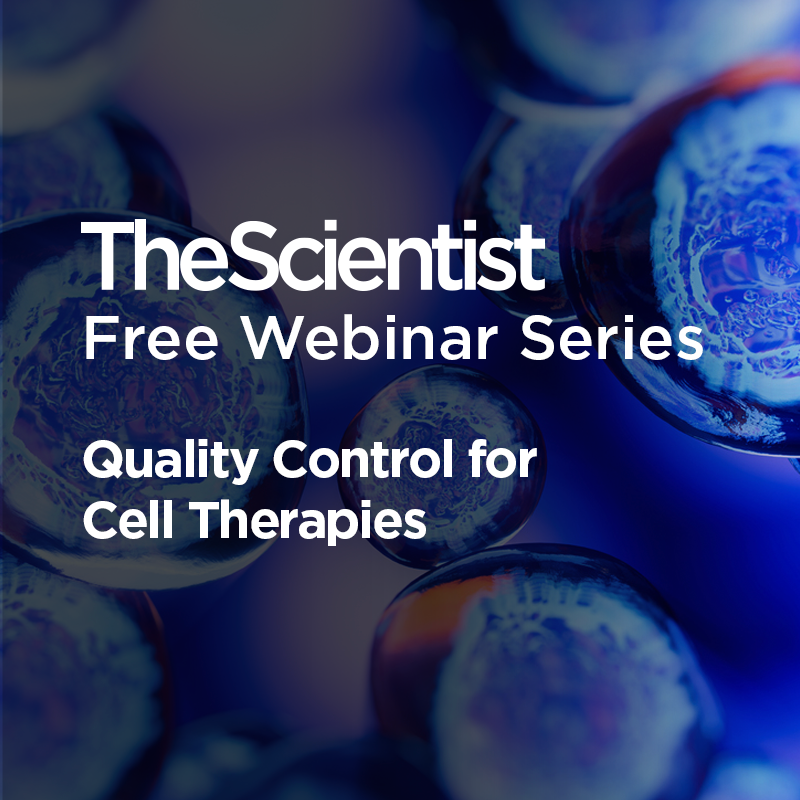 Quality Control for Cell Therapies | The Scientist