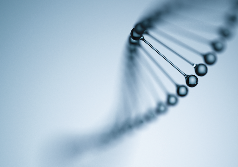Left-Handed DNA Has a Biological Role Within a Dynamic Genetic Code ...