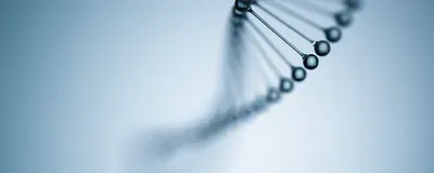 Left-Handed DNA Has a Biological Role Within a Dynamic Genetic Code ...