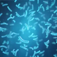 Toxin | The Scientist