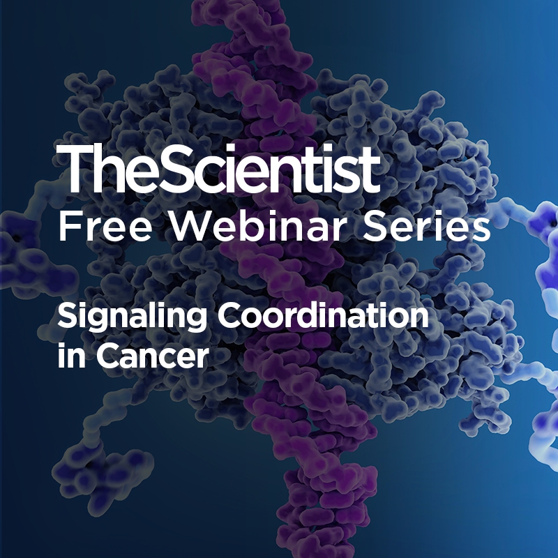 The Structure and Functions of the p53 Pathway: Information Acquisition ...