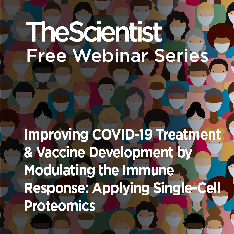 Improving COVID-19 Treatment & Vaccine Development by Modulating the ...