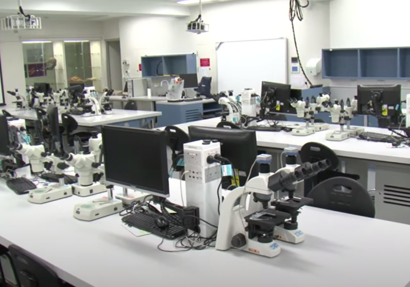 Videos: A Sampling of Virtual Lab Tours | The Scientist